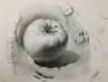 苹果盘子素描怎么画_苹果素描用什么铅笔