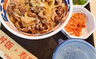 牛肉丼饭怎么做_牛肉丼饭酱汁比例