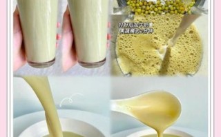 绿豆沙冰怎么做_绿豆沙冰的家常做法