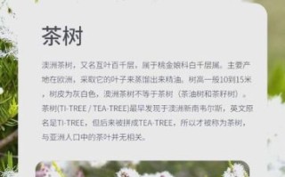 茶树精油怎么用_茶树精油的功效与作用