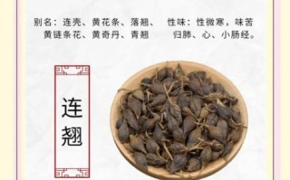 连翘的功效与作用_连翘能治疗哪些疾病