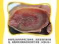 金钱肉是什么东西_金钱肉的做法与吃法
