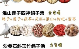 鸽子汤怎么炖补气血_鸽子汤补气血放什么材料