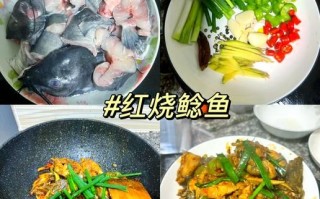 鲶鱼块怎么做好吃_鲶鱼块的做法大全