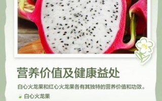 白心火龙果的营养价值_白心火龙果有哪些营养成分