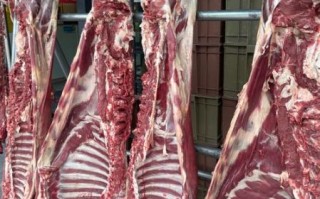 羊肉片多少钱一斤_新鲜羊肉片价格行情