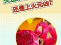 火龙果上火还是降火_吃火龙果会不会上火