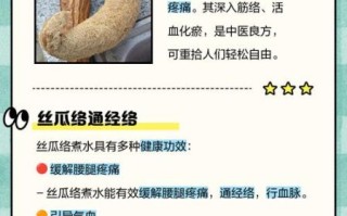 老丝瓜络煮水喝的功效_老丝瓜络煮水有什么作用