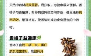 香椿籽的功效与作用_香椿籽怎么吃效果最好