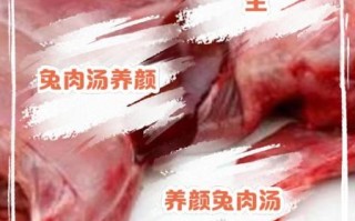 兔肉煲汤用什么锅好_兔肉煲汤放什么材料