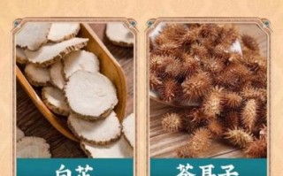 鼻炎偏方真的有用吗_鼻炎偏方简直太神了