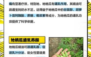 梢瓜是什么_梢瓜怎么吃最好