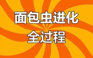 面包虫长大后变成什么_面包虫变成甲虫过程