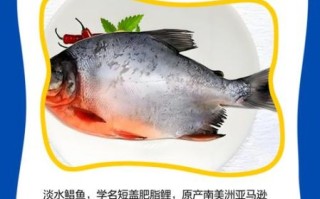 淡水鲳鱼怎么做好吃_淡水鲳鱼的家常做法