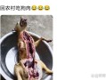 狗肉火锅视频吓狗_狗为什么会害怕