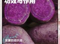 紫薯孕妇能吃吗_紫薯的功效与作用孕妇