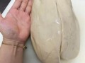 鹅肝是什么_鹅肝怎么做才好吃