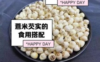 薏米怎么吃效果好_薏米祛湿的正确吃法