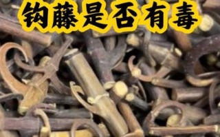 降血压最好的一味中药是什么_钩藤怎么用效果最好