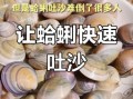 蛤蜊怎么吐沙_蛤蜊吐沙最快的方法