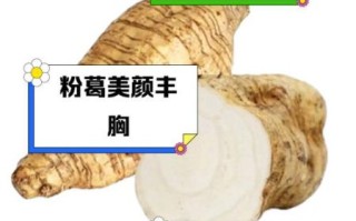 天然葛粉的功效与作用_适合什么人吃