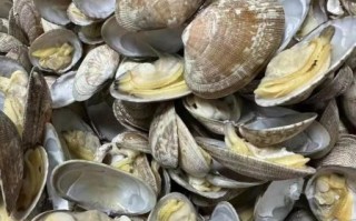 花甲多少钱一斤_花甲价格为什么波动这么大