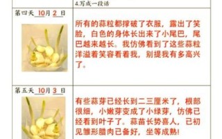 蒜苗1到6天怎么长_蒜苗发芽几天能出土