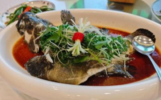 龙趸鱼怎么蒸才嫩_龙趸鱼清蒸做法窍门