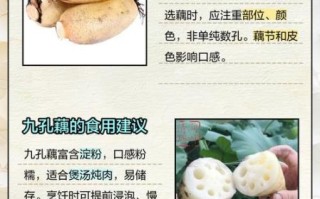 哪些人不能吃藕_吃藕的禁忌人群