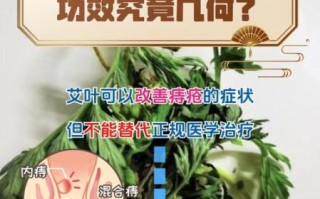 艾叶治痔疮效果好吗_怎么用艾叶治痔疮
