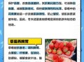 吃草莓有什么好处_草莓的功效与作用