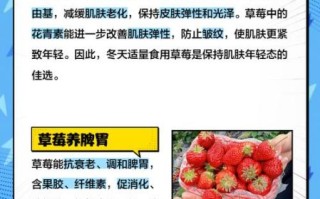 吃草莓有什么好处_草莓的功效与作用