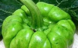 土耳瓜怎么做好吃_土耳瓜的家常做法