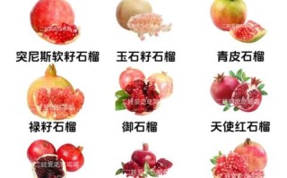 软籽石榴怎么挑选_软籽石榴和硬籽石榴区别