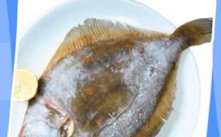 鲽鱼是深海鱼吗_鲽鱼是淡水鱼吗