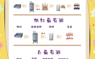 葡萄酒怎么酿制_自酿葡萄酒的做法步骤
