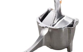 柠檬汁怎么做_榨汁机哪种好