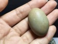 野鸡蛋能吃吗_野鸡蛋营养价值
