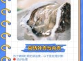 牡蛎怎么清洗_牡蛎的营养价值