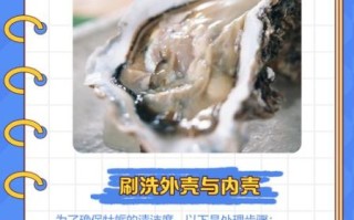 牡蛎怎么清洗_牡蛎的营养价值