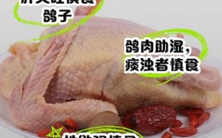 鸽子吃什么食物_鸽子不能吃什么