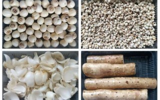 薏仁米粥怎么煮_薏仁米粥的做法大全