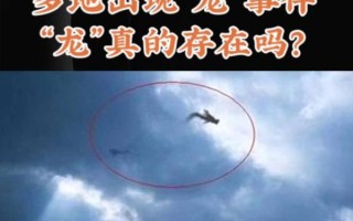 长江捕获15米真龙是真的吗_真龙现身长江事件真相