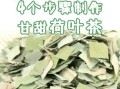 荷叶茶减肥效果怎么样_荷叶茶怎么喝最减肥