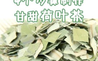 荷叶茶减肥效果怎么样_荷叶茶怎么喝最减肥