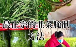 腌咸韭菜不变色的做法_韭菜腌多久不会变色