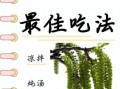 新鲜核桃花怎么吃_核桃花有什么营养价值