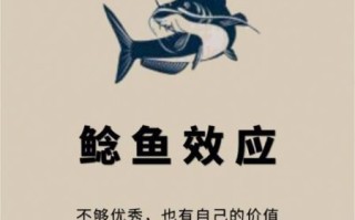 鲶鱼效应是什么_如何运用鲶鱼效应提升团队活力