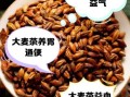 大麦茶的功效与作用及禁忌_什么人不能喝