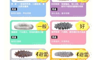 刺参和海参的区别是什么_刺参和海参哪个营养价值高